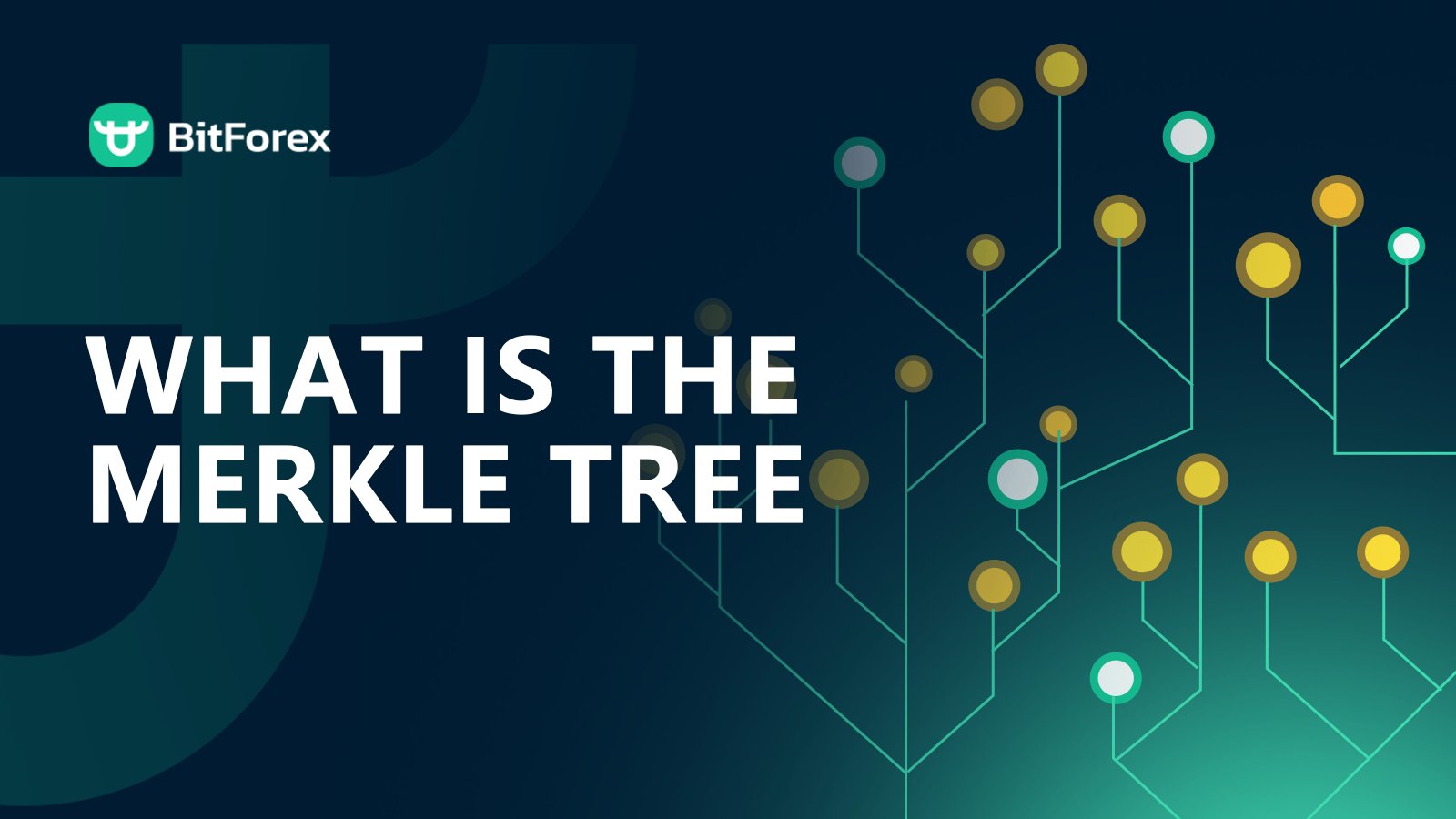 BitForex on Twitter: "🤔What is the Merkle Tree？Why Merkle Trees Are More Efficient and Safer for ...