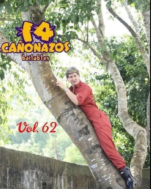 planta hermosa on Twitter: planta hermosa on Twitter: