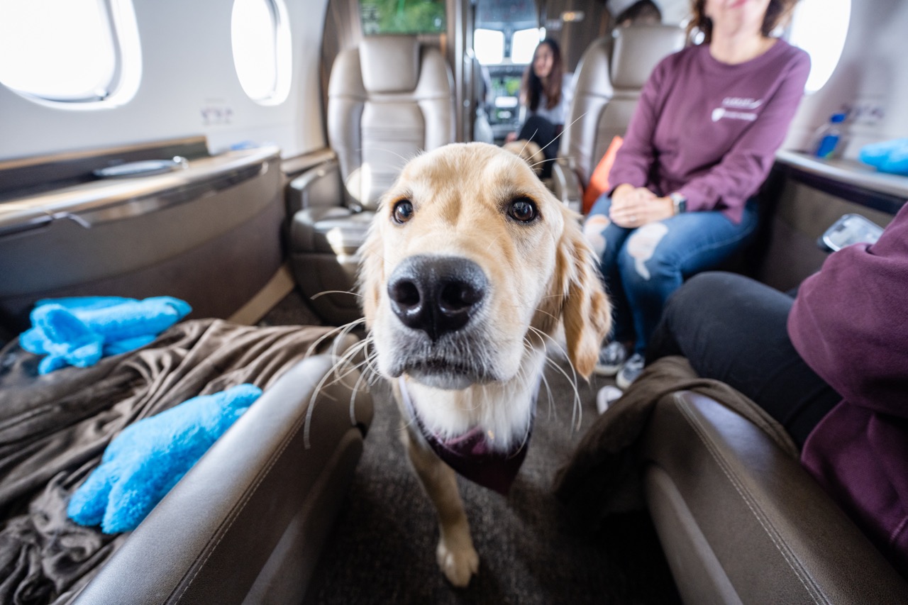 Flexjet (@Flexjet) / Twitter Flexjet (@Flexjet) / Twitter