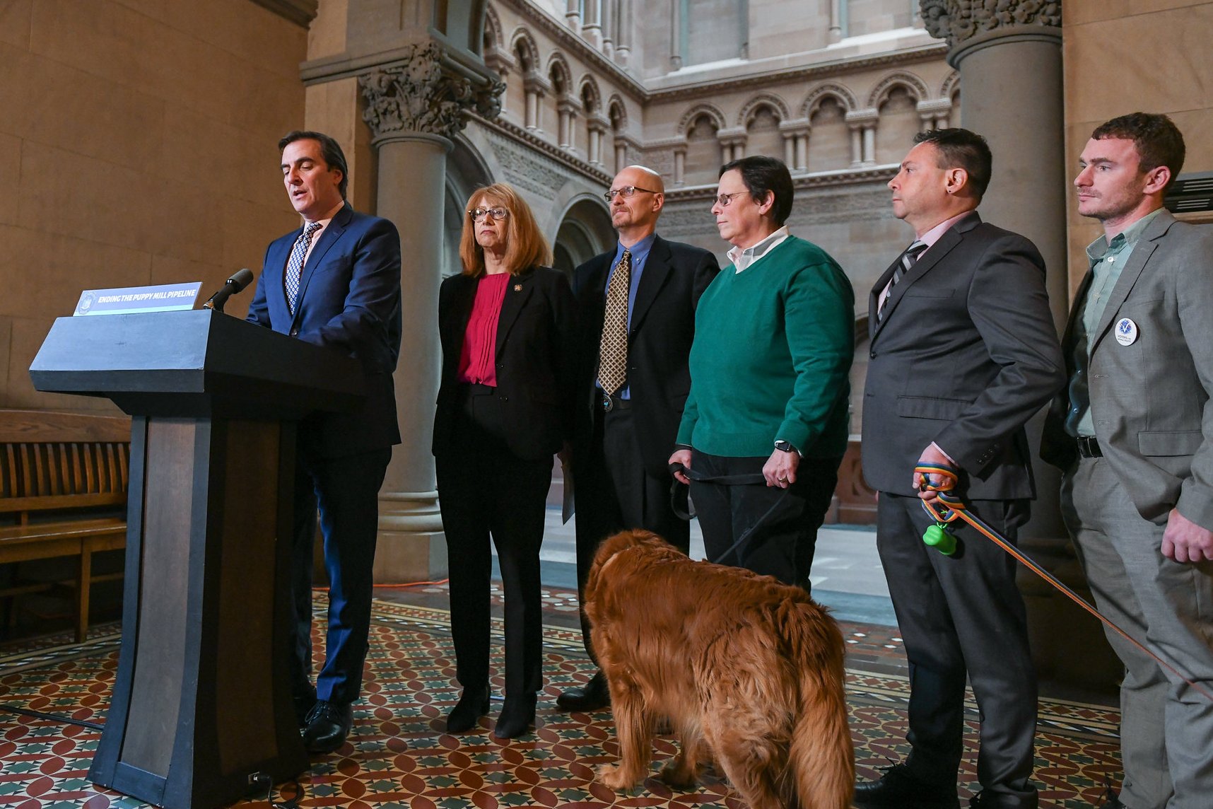 Sen. Mike Gianaris (@SenGianaris) / Twitter