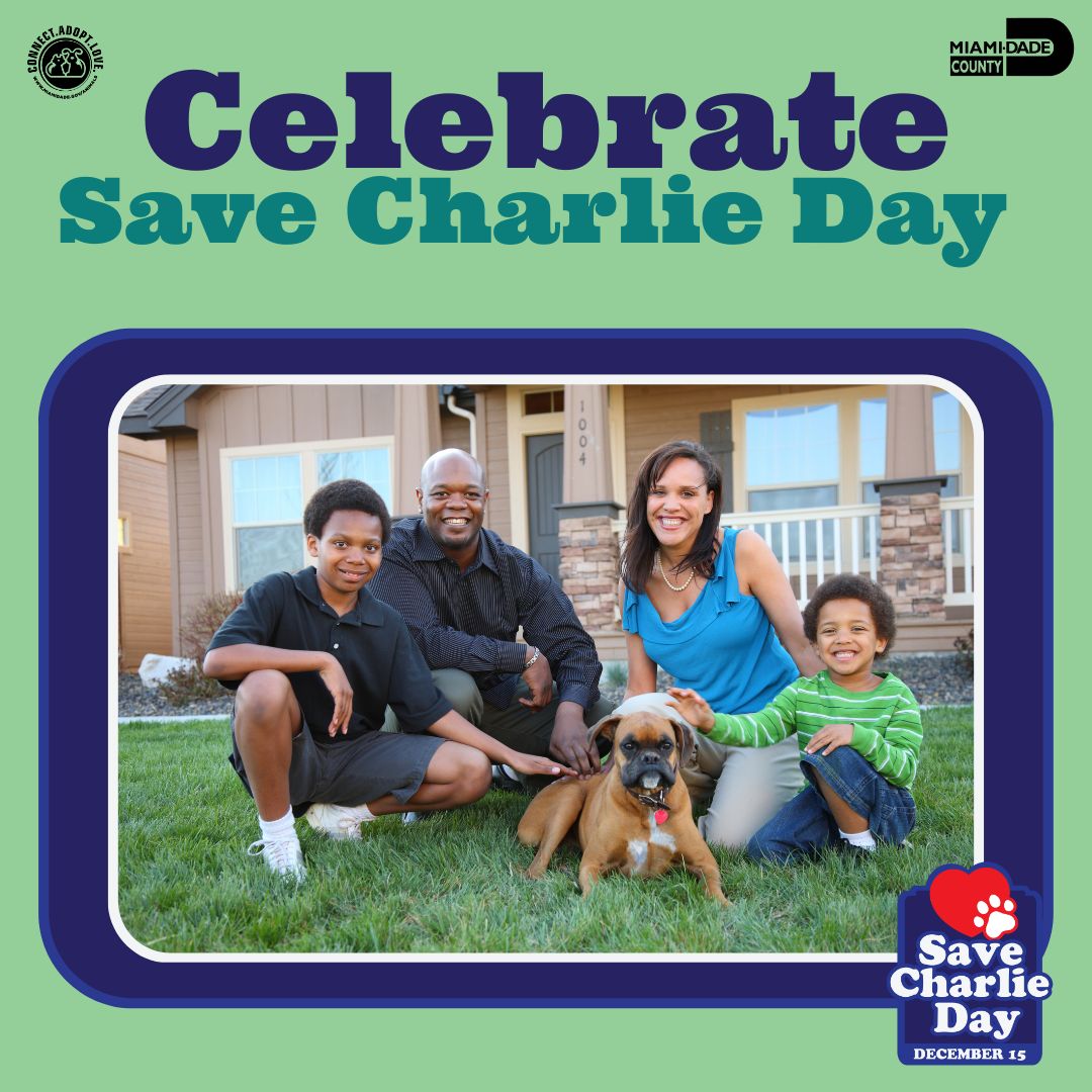 Charlie Day And Family