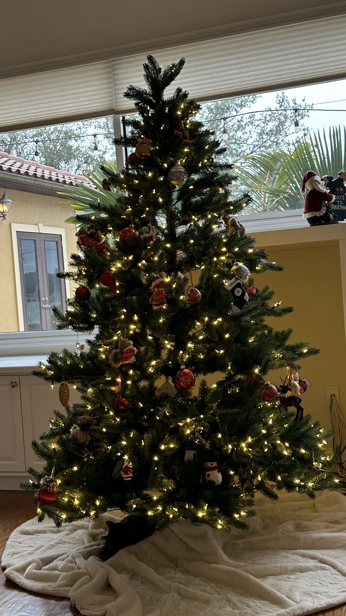 TW Pornstars - 2 pic. Brandi Love ®. Twitter. Ok #LoveTroopers! Please ...