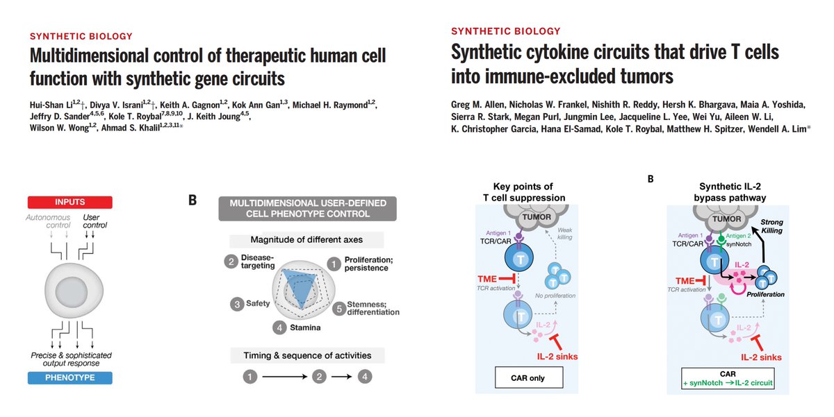 Eric Topol on Twitter: "T-cell engineering vs cancer has gone to an unprecedented level for when ...