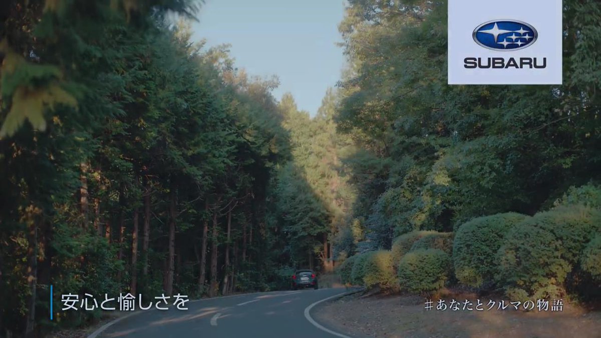 動画NOW on Twitter: "SUBARU クロストレック のCM「Your story with－仲間」篇。 https://douganow.jp/archives ...
