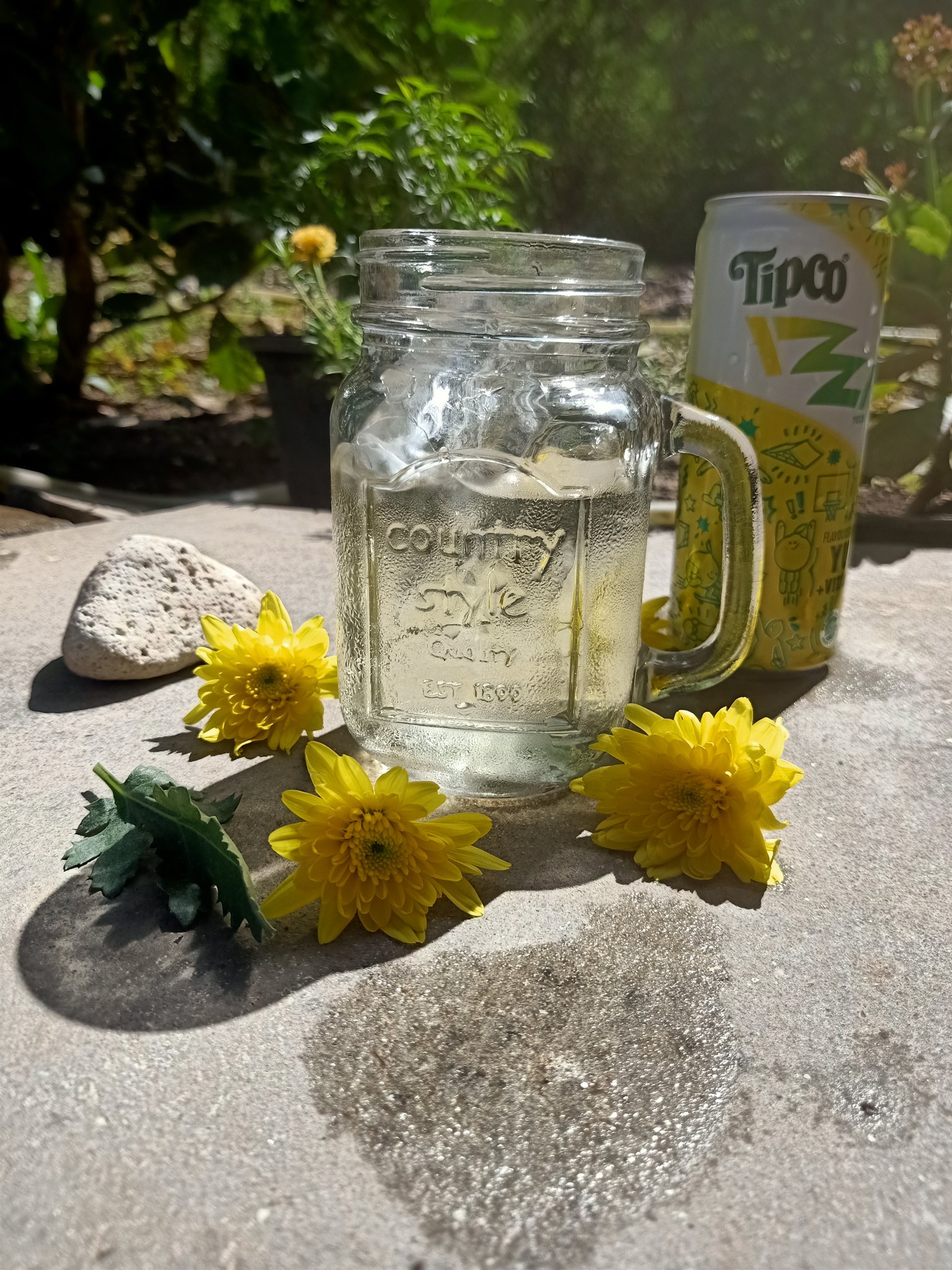 JeffCode 🪐🌻💜💚🦝🐯 (@JeffCode16) / Twitter