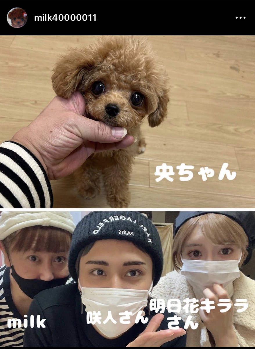 ゆるふわ稼ぐ子ちゃん On Twitter