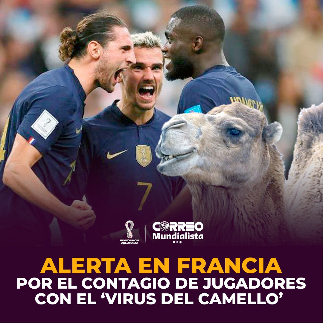 Diario Correo On Twitter A Vísperas De La Final Del Mundial De Qatar