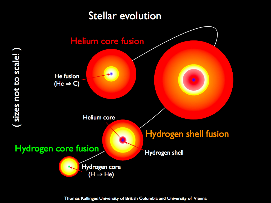 EL SOL SERÁ UNA GIGANTE ROJA ¿QUÉ PASARÁ ANTES? Según el tipo espectral ...