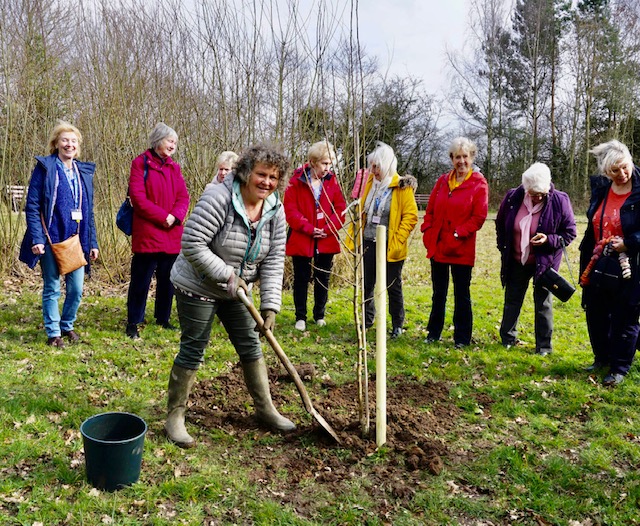u3a on Twitter: "Mawdesley u3a digging deep for the future 🍀 All throughout our 40th Anniversary ...
