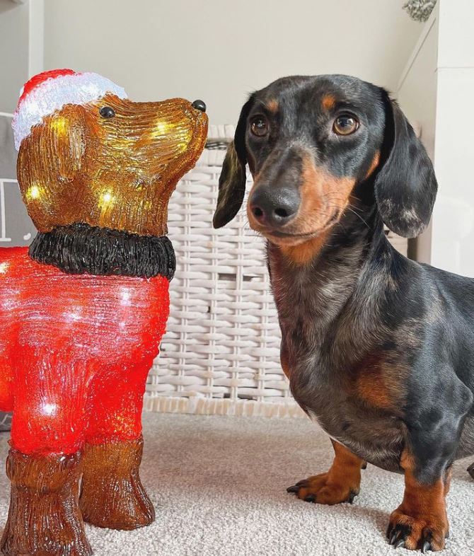 The Range UK on Twitter: "** CAPTION THIS ** 😆 Comment below 👇 🔎355614 - 48 LED Acrylic ...