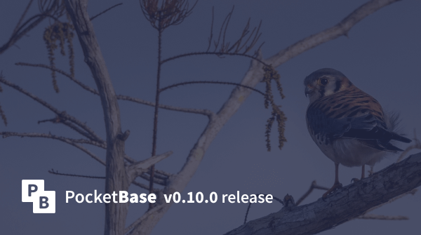 PocketBase on Twitter: "v0.10.0 Release - https://github.com/pocketbase/pocketbase/releases/tag ...