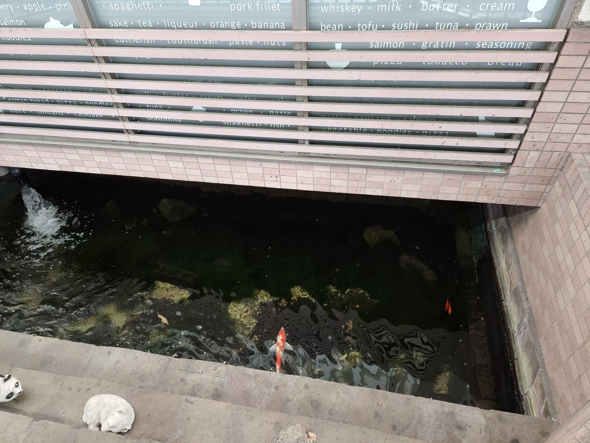 降り鉄!高木茂久 On Twitter 夙川駅 関西では高級住宅街としてなじみのある地名ですが難読です。jrのさくら夙川が開業したことで阪急は特急停車駅に昇格。乗り換えの甲陽線も特急