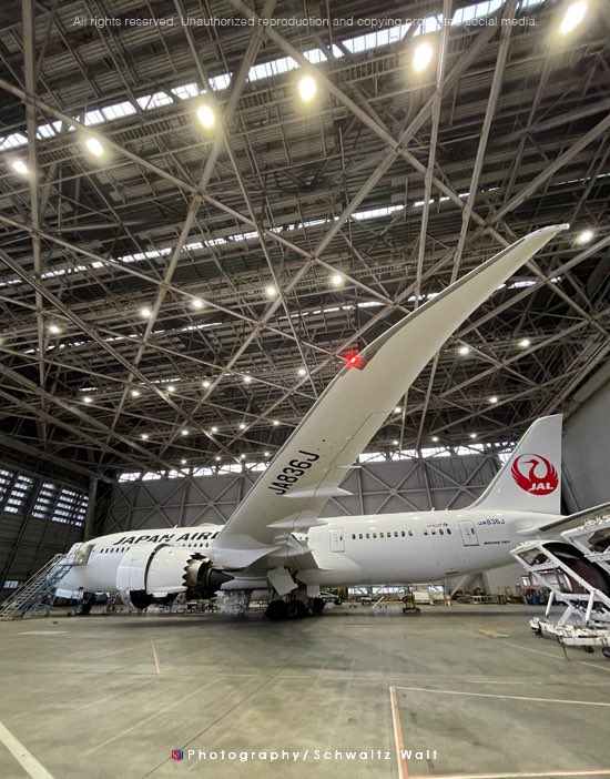 SchwaltzWalt on Twitter: "おはようございます。😊今日 12月17日は #飛行機の日 なんだそうですヨ！ ️👍 ⚠️ JAL 写真掲載許可済 ...