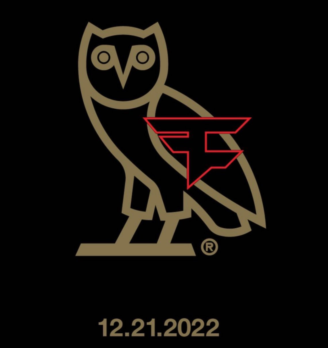 Drake Logo Uil Drake And His OVO Family Front New "OG" Campaign