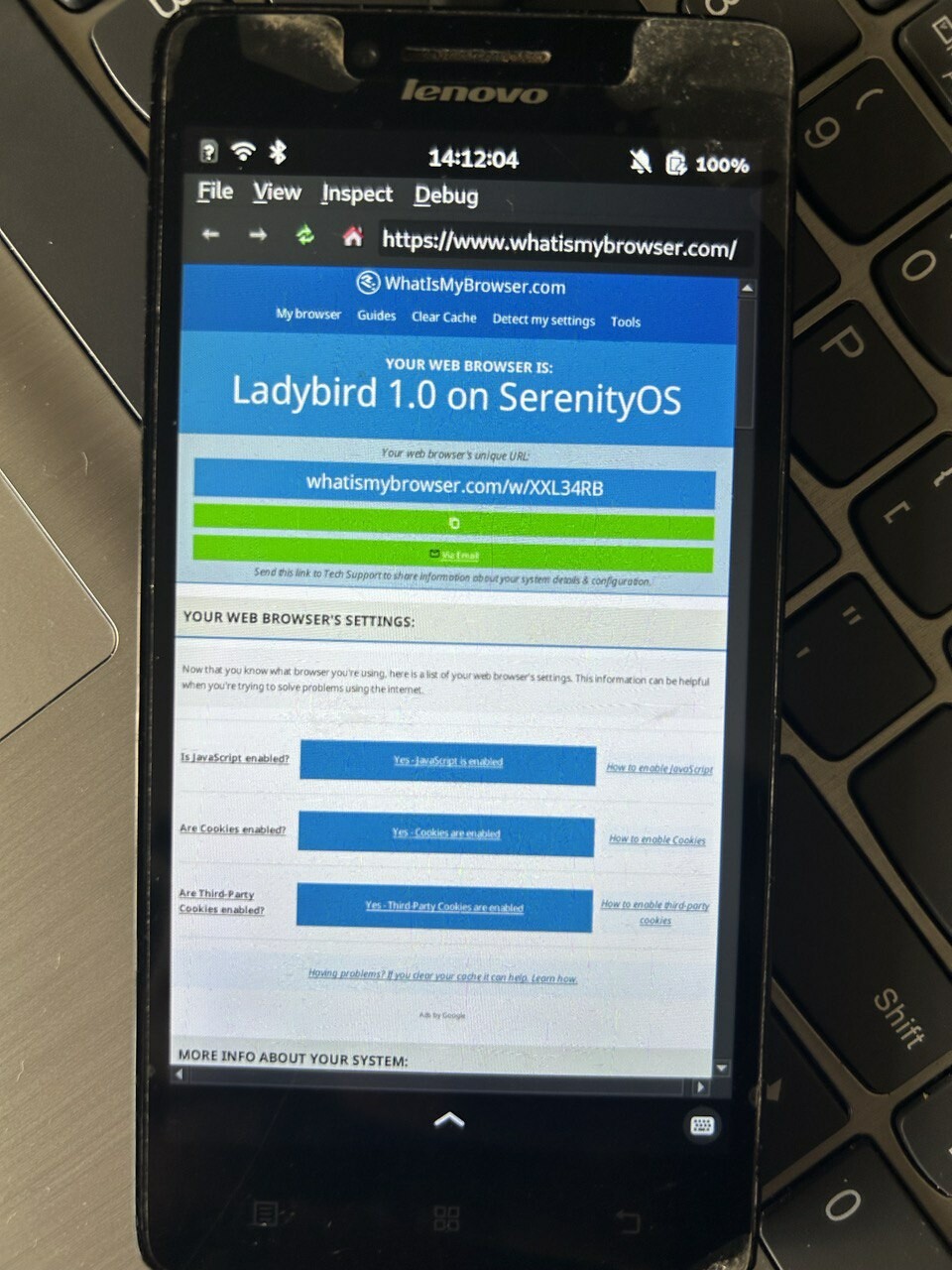 NSG650 on Twitter: "This was painful but here it is. Ladybird running on postmarketOS aarch64 ...