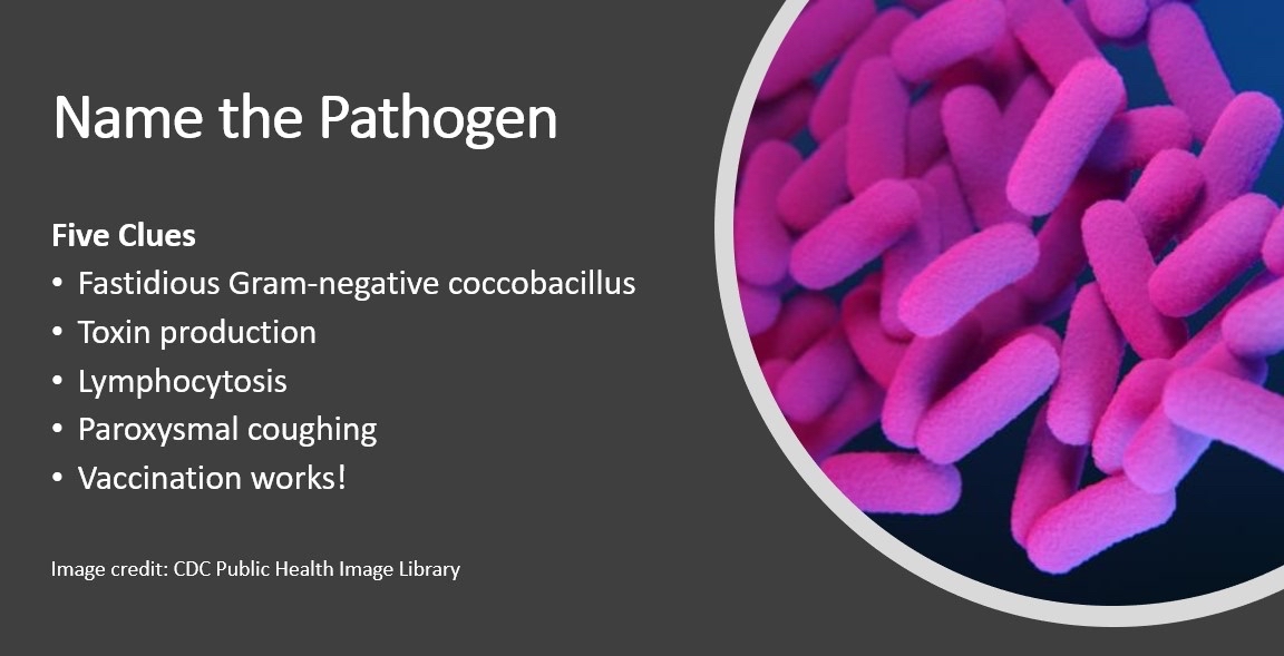 Weekend Digest Name the Pathogen Five Clues 1. Fastidious Gram-negative ...