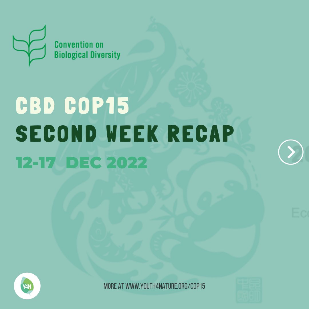 Youth4Nature on Twitter: "As the CBD COP15 draws to a close, Here’s a brief overview of our week ...