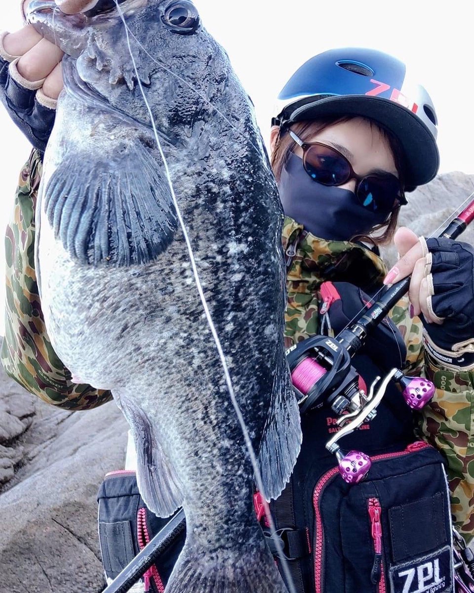 ZPI JAPAN on Twitter: "拡散RT希望 Team ZPI RQ Kumi in 北海道 素敵な魚達との出会い #zpi #zelos #alcance #rockfish"