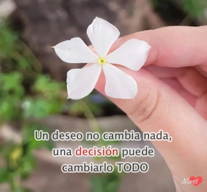 FrasesDeAmor on Twitter: FrasesDeAmor on Twitter: