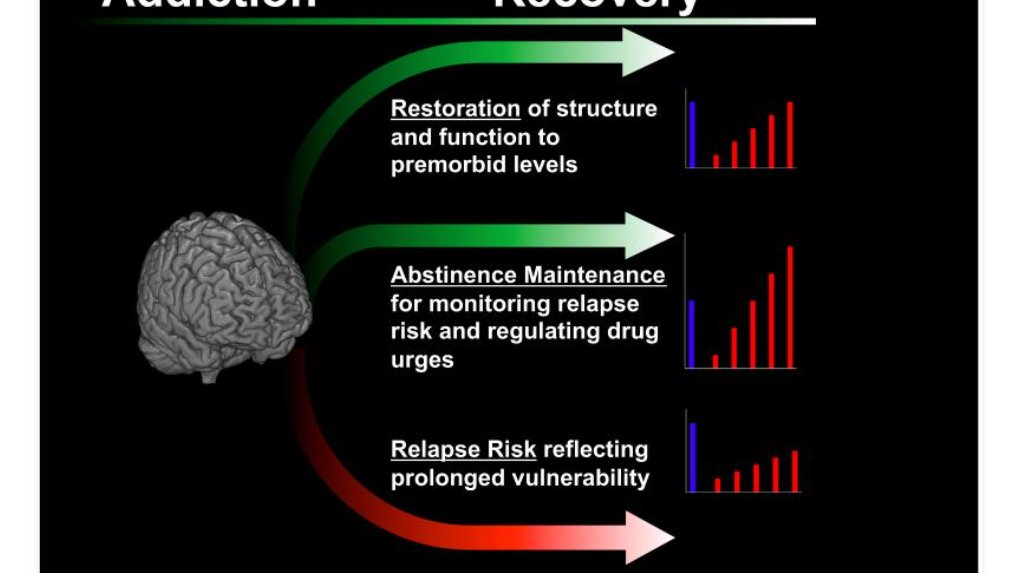 Men struggling to break habits read this ; - Thread from Spartan Psyche ...