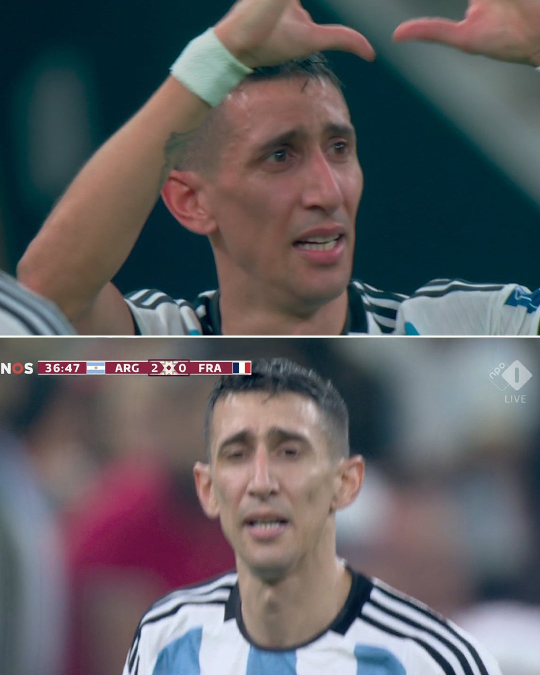 Di Maria World Cup 2022