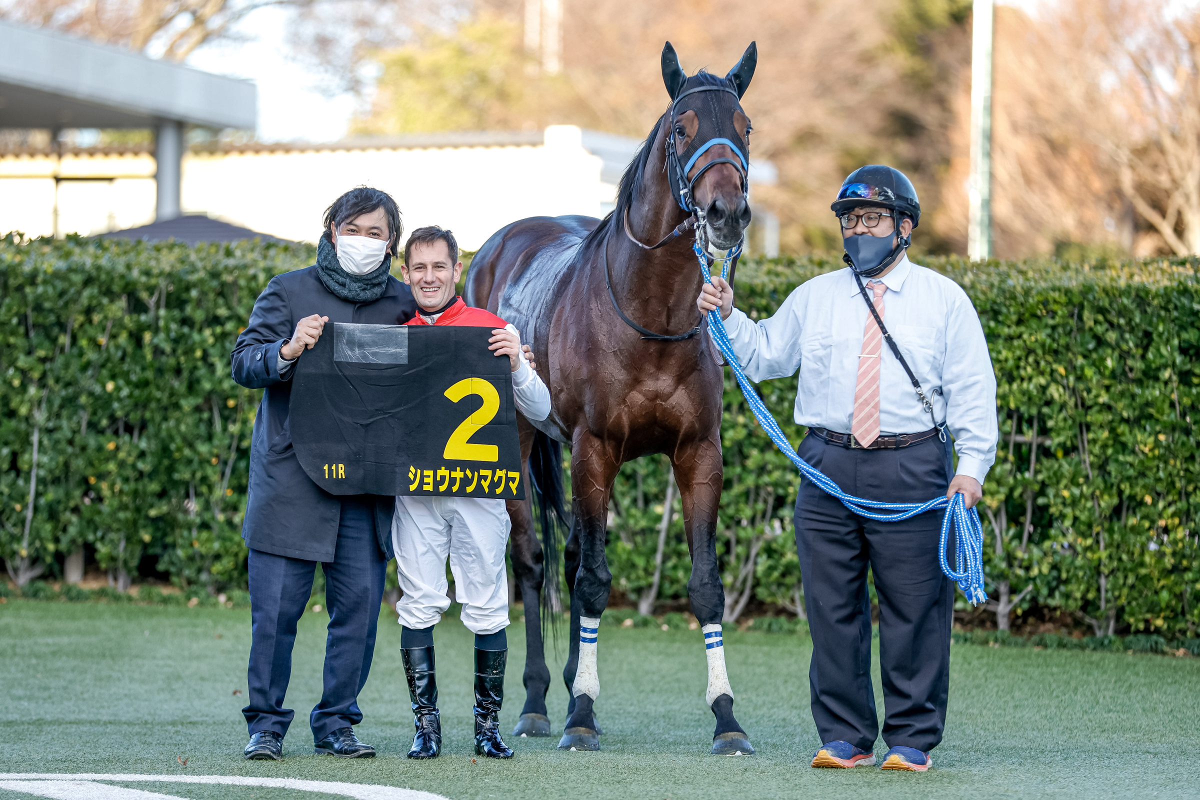 netkeiba on Twitter: "【日曜中山11R・ディセンバーS(L)】 #ショウナンマグマ #ミルコ・デムーロ 騎手はターコイズSに続き連日のメイン制覇。ザファクター産駒はJRA ...