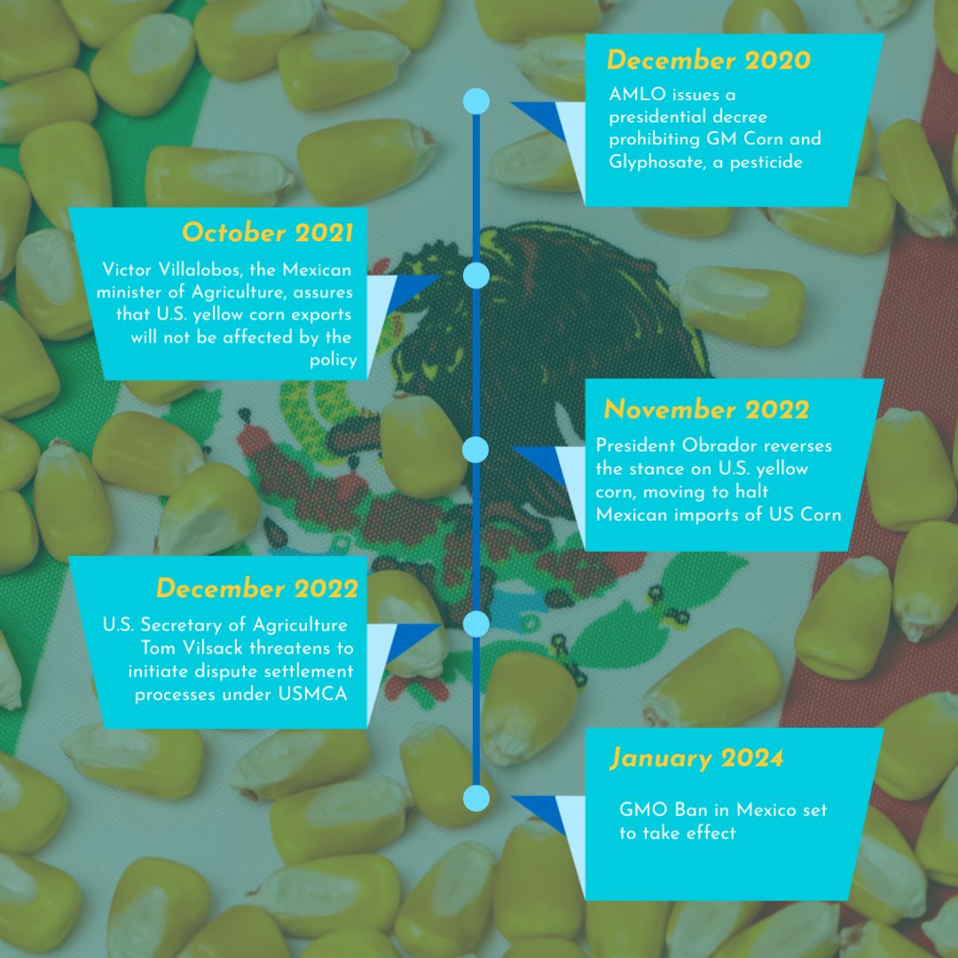 The Mexico Institute on Twitter: "How will the US-Mexico corn conflict ...