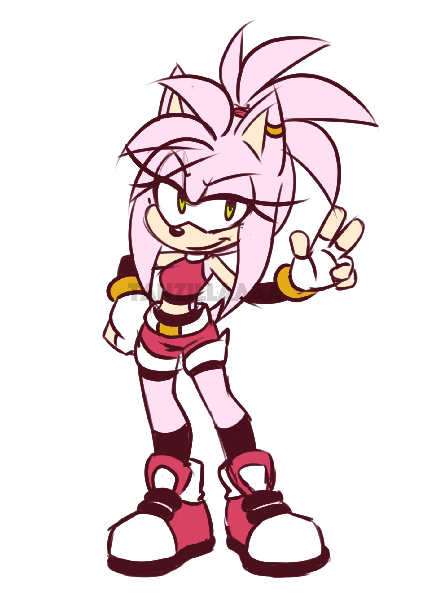 Sonic And Amy Fusion