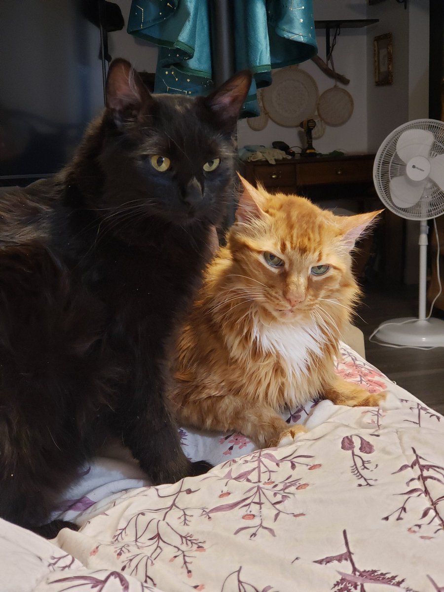 ProJared's Ex-Wife, Heidi O'Ferrall | Their Divorce and More