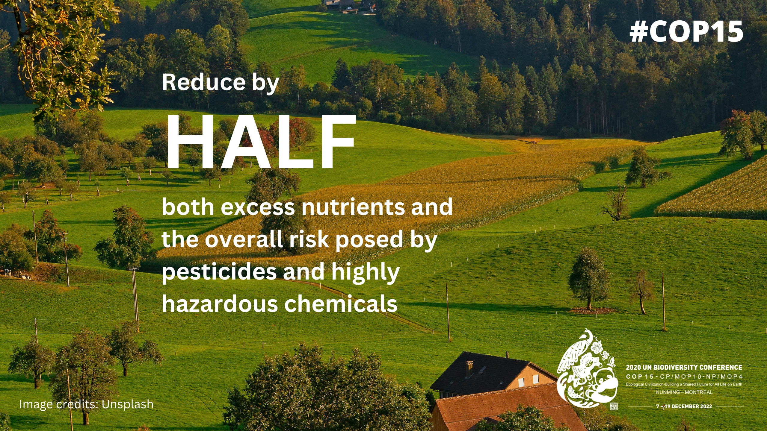 CBD COP15 (@CBD_COP15) / Twitter