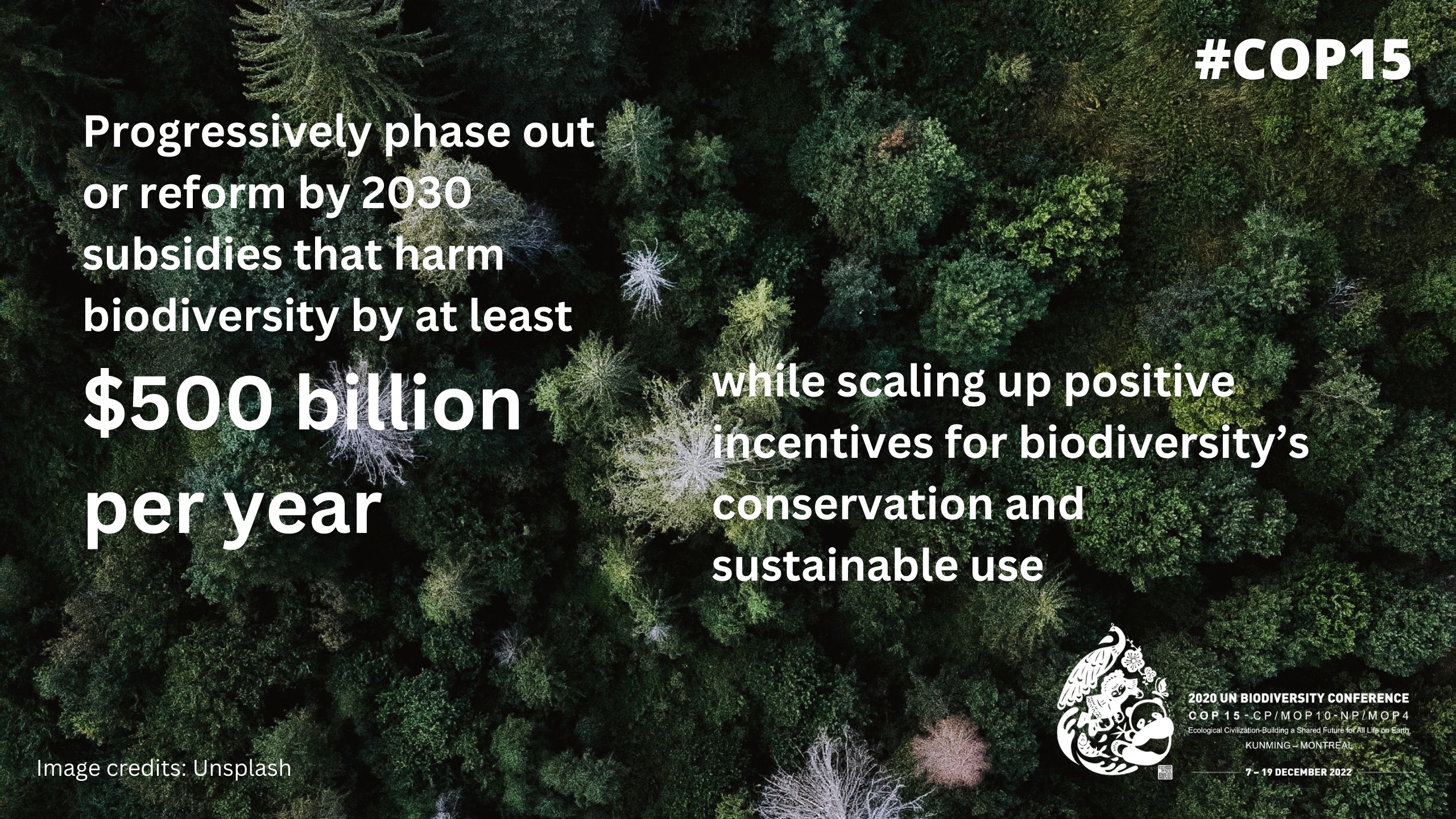 CBD COP15 (@CBD_COP15) / Twitter