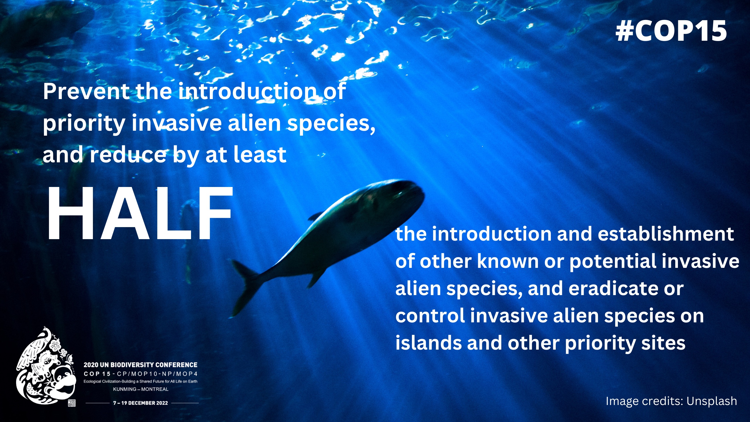 CBD COP15 (@CBD_COP15) / Twitter