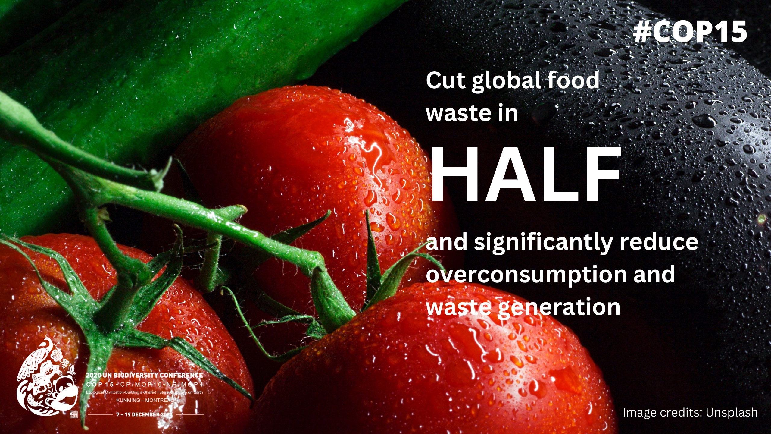 CBD COP15 (@CBD_COP15) / Twitter