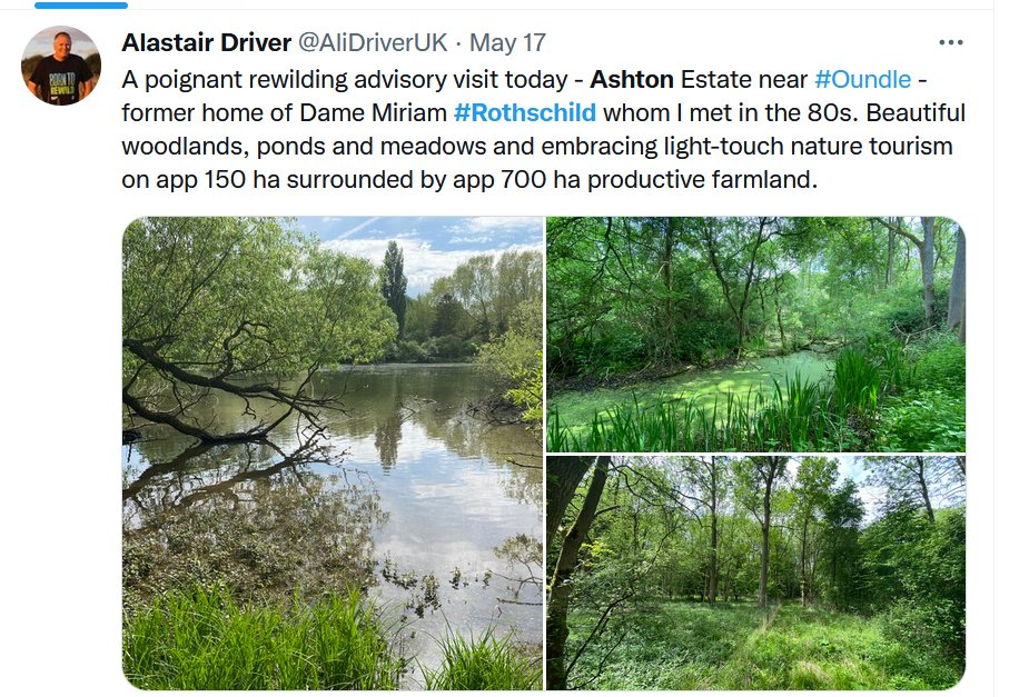 Richard Dawkins, for years the most prominent voice in global Atheism ...