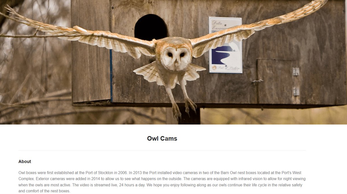 USACE HQ on Twitter: "One of the cool things the team learned about was the port’s barn owl ...