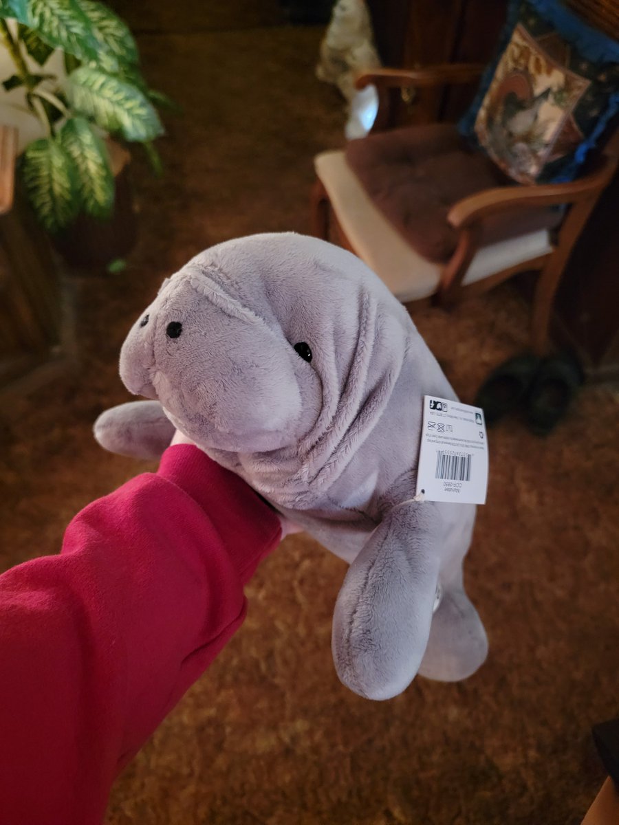 VeggieTales on Twitter: "RT @KJFogleman: My 2 year old picked out a manatee from @BassProShops ...