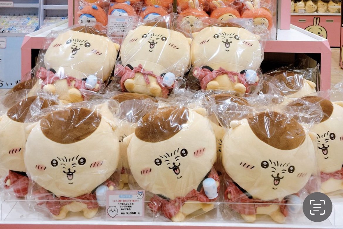 koi 📚 on Twitter: "RT @1ntp_suu: 하.. 하치와레짱"