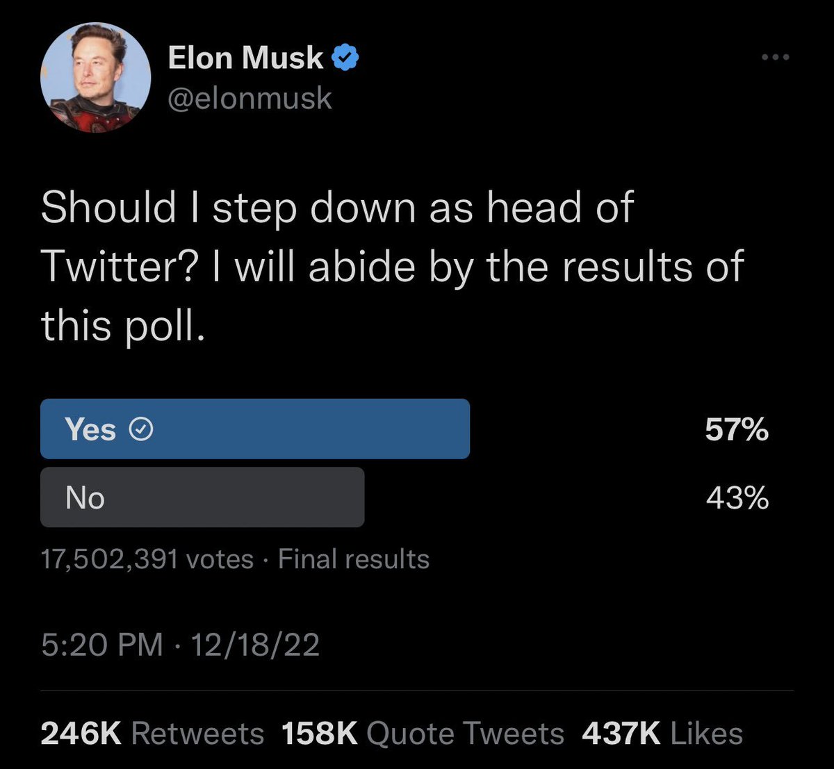 Emotional Support Lion On Twitter Rt To Hold Elon To His Word