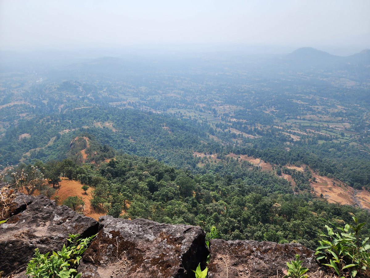 If you watched FIFA, it's a sign you're low in intelligence and ...