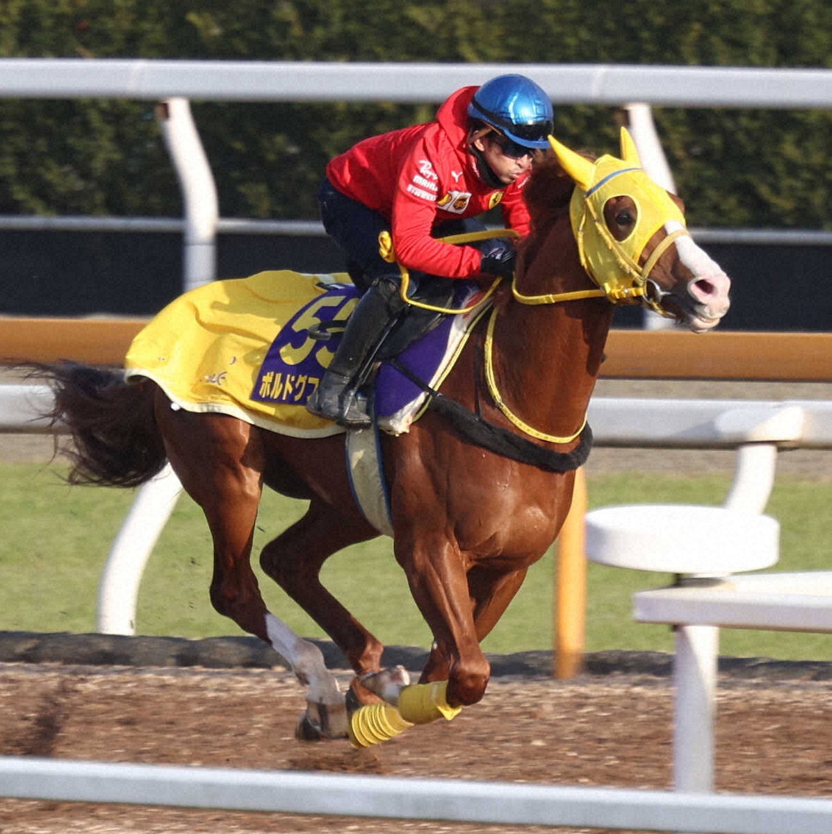 引退ニュース速報 on Twitter: "【有馬記念】まるでメッシ 福永も有終Vゴ～ル 8大競走完全制覇で来年2月引退へ（スポニチアネックス） - Yahoo ... - Yahoo ...