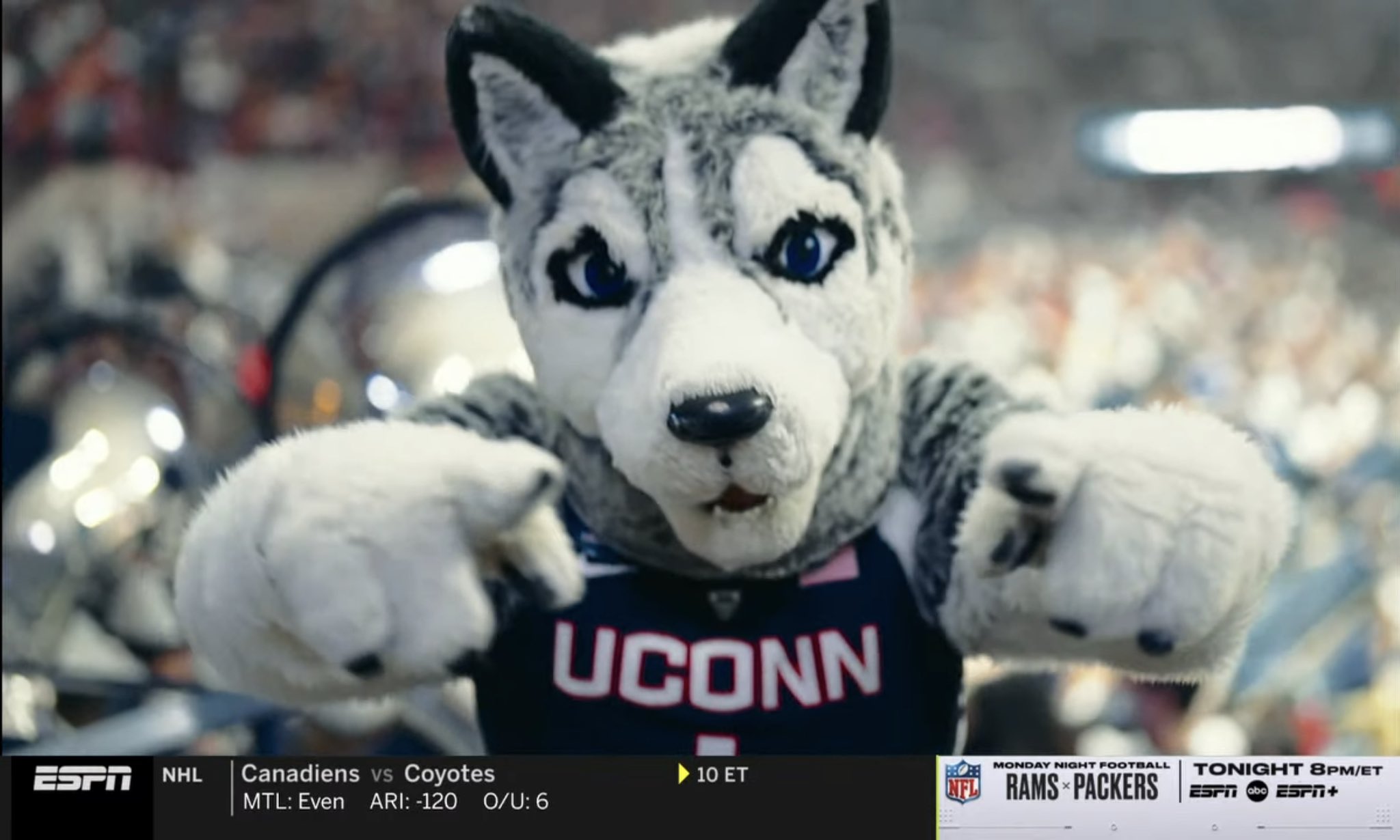 New Uconn Mascot 2022