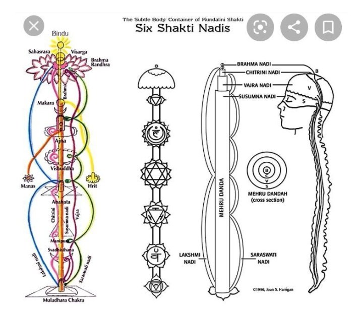 The Churning of the Ocean of Milk: An Esoteric Allegory of the ...