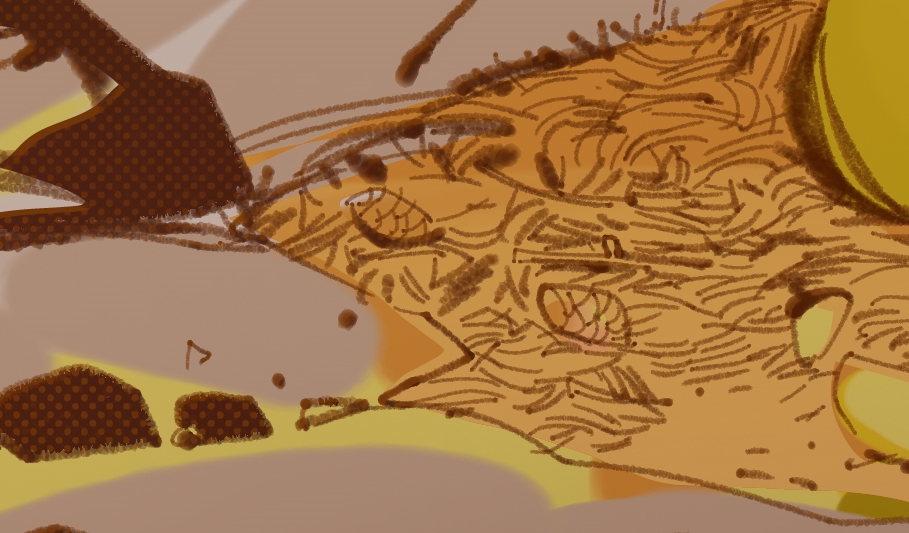 Winton Kidd 🔞 on Twitter: "Also this broken branch with running sap and cute little pine cones."