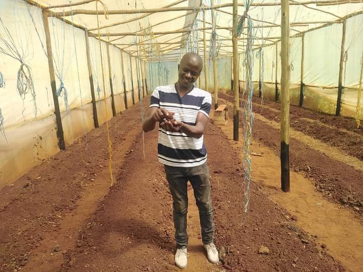 SOIL PH Thread, 1/12 - Thread from Farm With Fred @Fredmunene_ - Rattibha