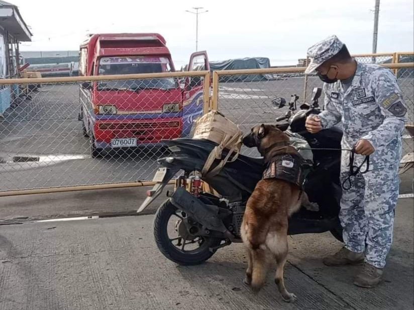 Philippine Coast Guard on Twitter: "PCG K9 FORCE SA NORTHERN SAMAR 🐶🇵🇭 Kuha ang mga ito sa ...