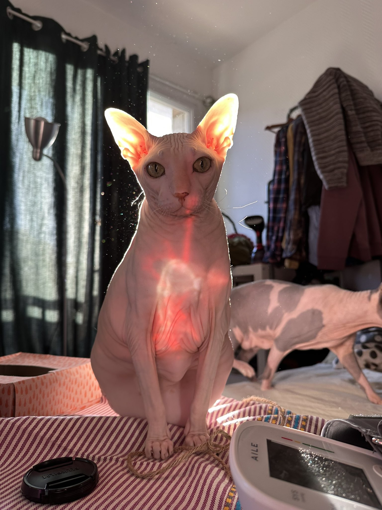 слезовик из икеи on Twitter: "Вы тока гляньте как красиво https://t.co ...