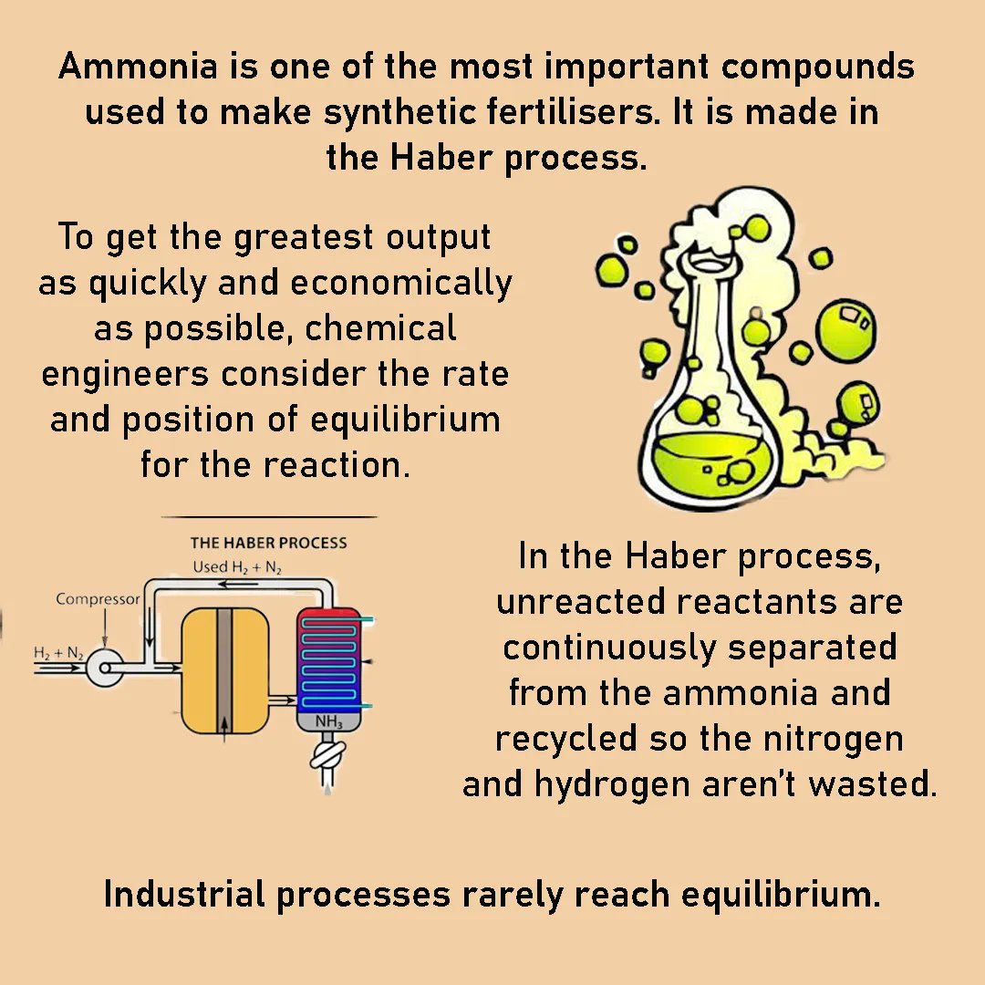 Haber Process Ammonia