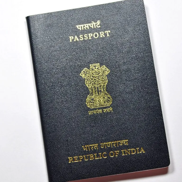 You all know about Navy Blue (aka Personal) Passport. What are other ...