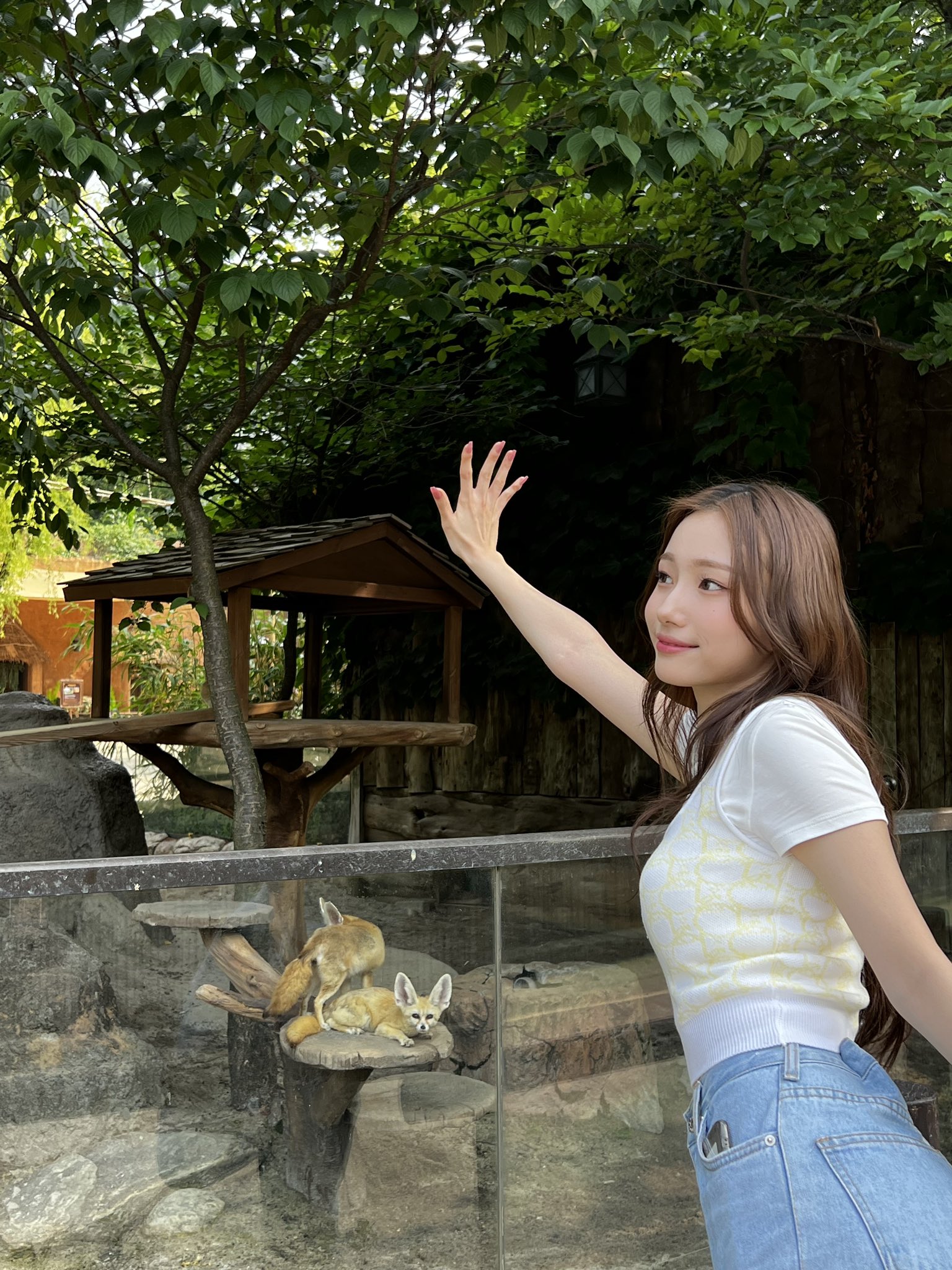 seo youngeun pics on Twitter: "YOUNGEUN AND FENNEC FOXES!!😭 ️ ️ https://t.co/LUugEtchQq" / Twitter