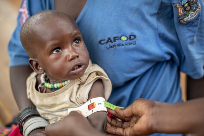 UNICEF Africa @UNICEFAfrica profile | Musk Viewer